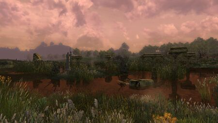 The Midgewater Marshes - Lotro-Wiki.com
