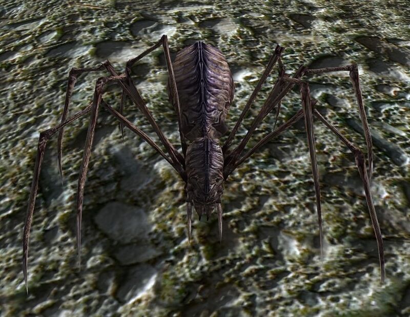 Summoned Spinner (Instance) - Lotro-Wiki.com Summoned Spinner (Instance) - Lotro-Wiki.com