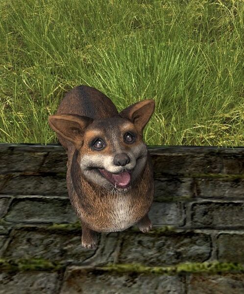 Rust Corgi - Lotro-Wiki.com