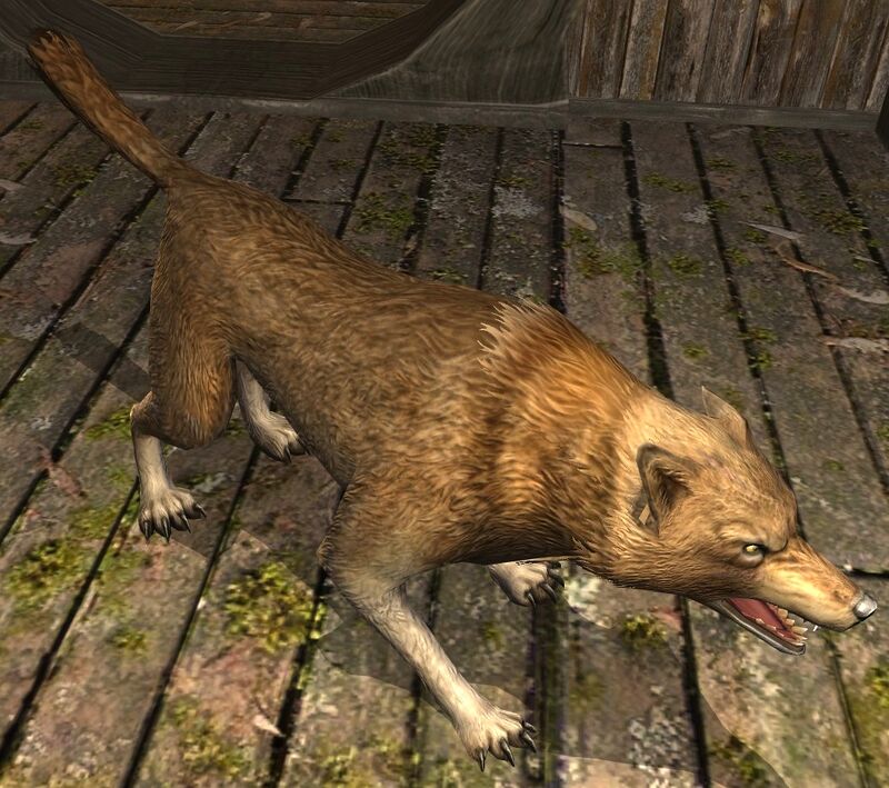 Wolfhound (Dwaling) - Lotro-Wiki.com