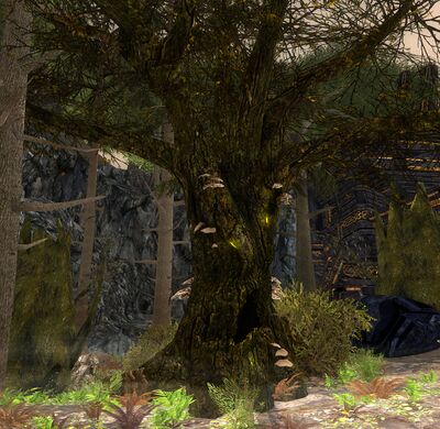 Glymlauf - Lotro-Wiki.com
